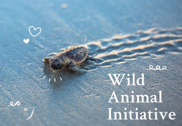 Heerlijke koffie, vrij van cafeïne - No Rush Decaf